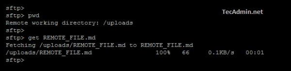 How To Download And Upload Files With SFTP Command TecAdmin