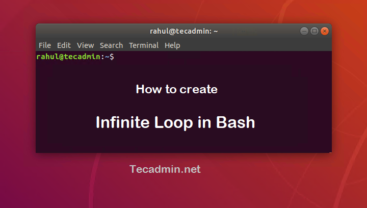 Create An Infinite Loop In Shell Scripts TecAdmin