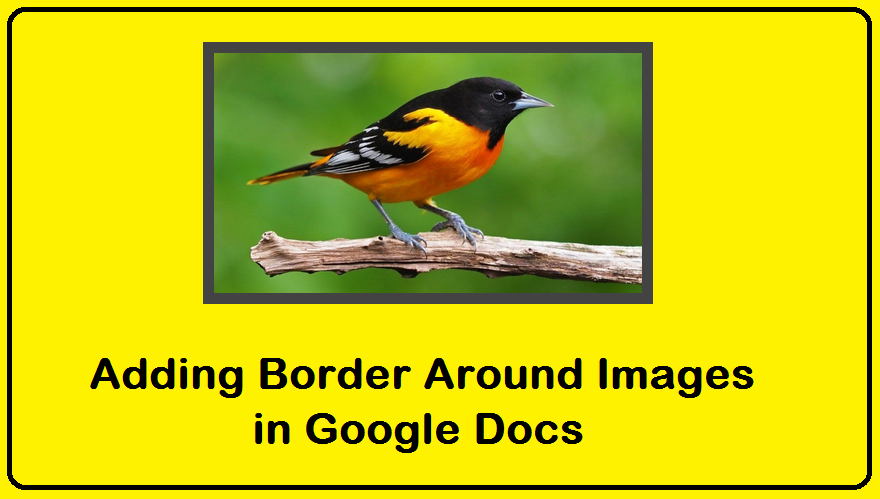 How To Set Border Around Images In Google Docs TecAdmin