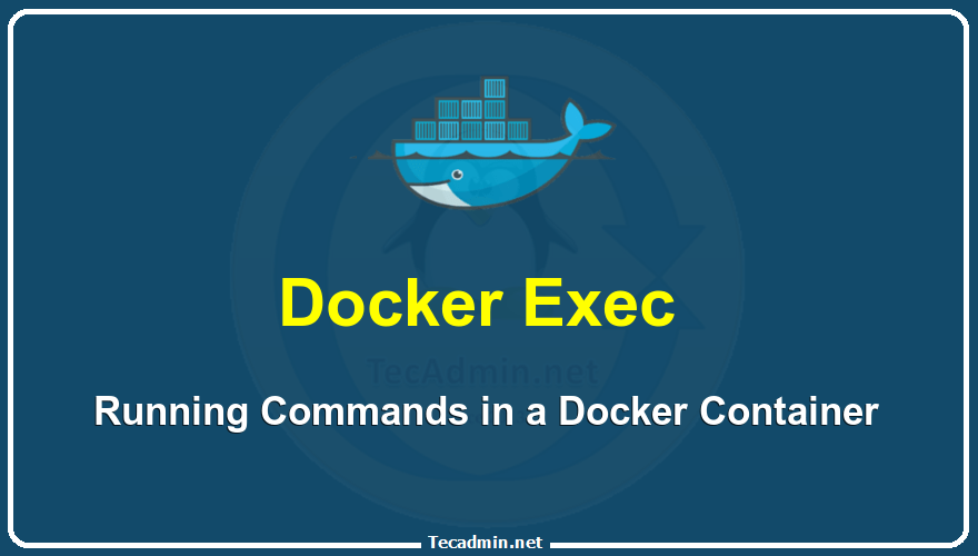 Docker Exec Running Commands In A Docker Container TecAdmin